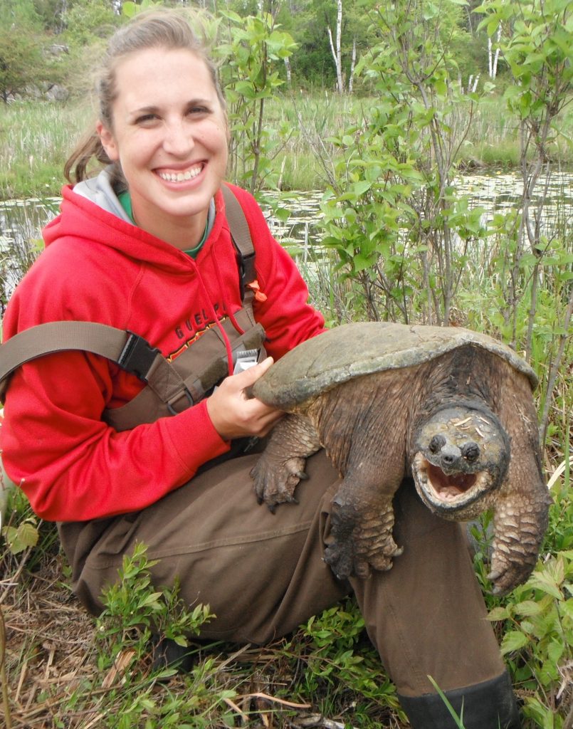 Hall of fame: Postdocs | The Lizard Lab