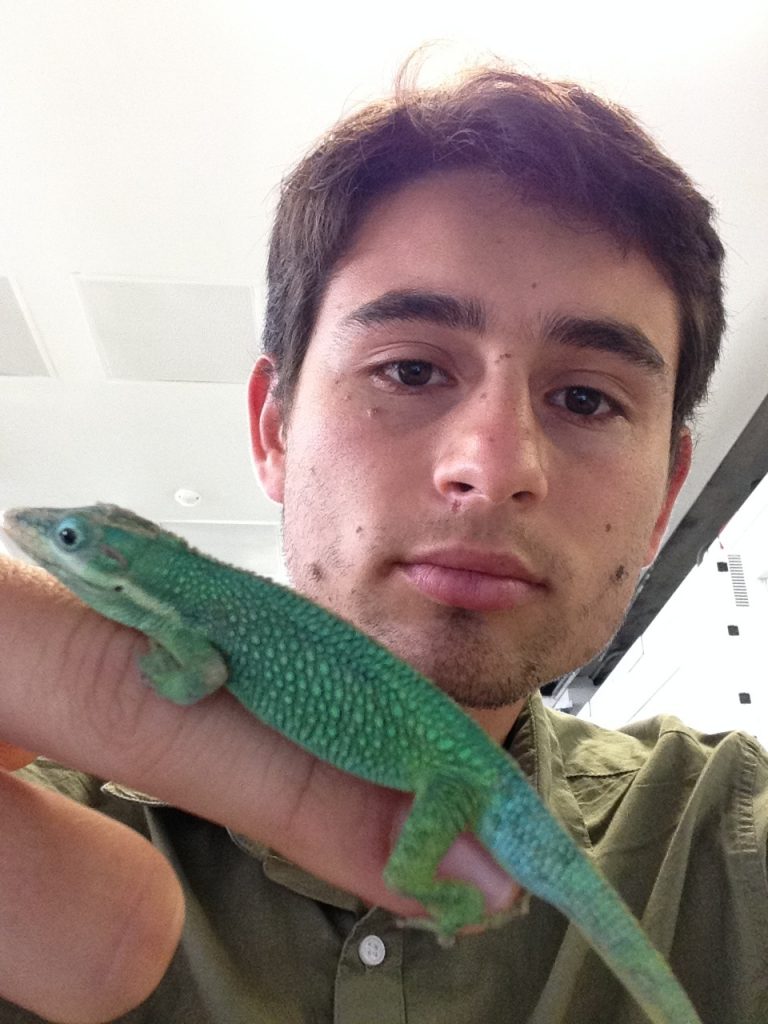 Iván | The Lizard Lab