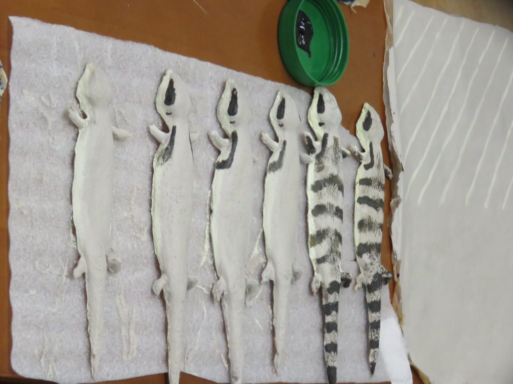 Why blue tongue? A potential deimatic display has been uncovered in ...