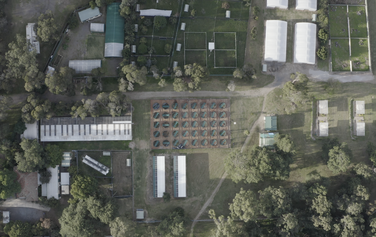 Facilities | The Lizard Lab