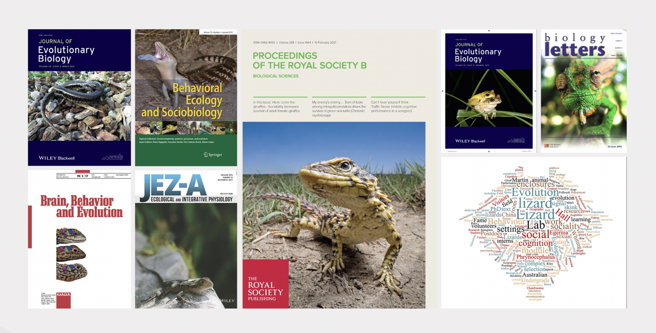 The Lizard Lab | Behaviour, ecology and evolution of lizards